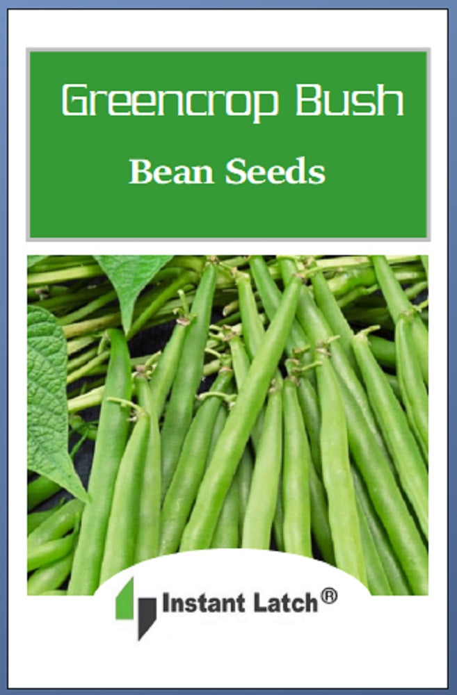 Greencrop Bush Bean Seeds | NON-GMO | Heirloom | Fresh Garden Seeds ...