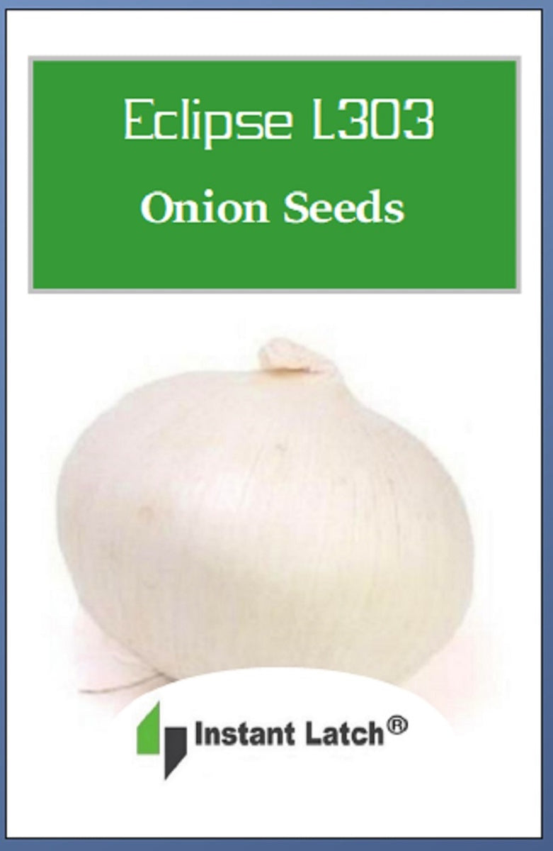 Eclipse L303 Onion Seeds | NON-GMO | Heirloom | Fresh Garden Seeds ...