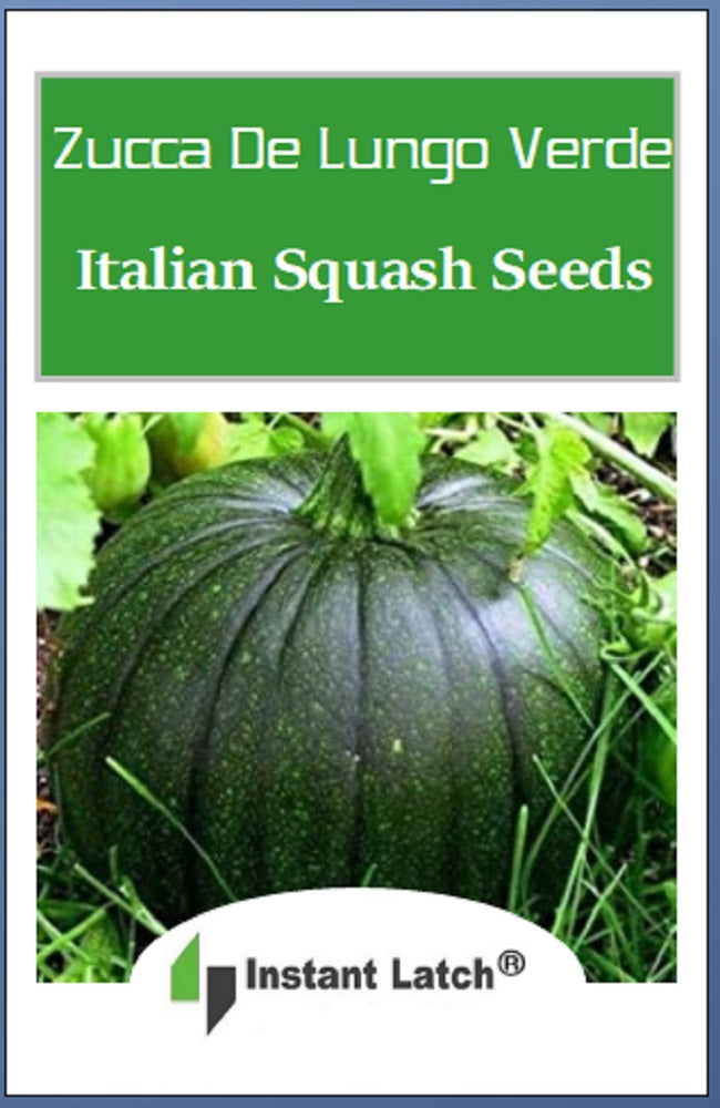 Italian Squash Zucca De Lungo Verde Seeds | NON-GMO | Fresh Garden See ...