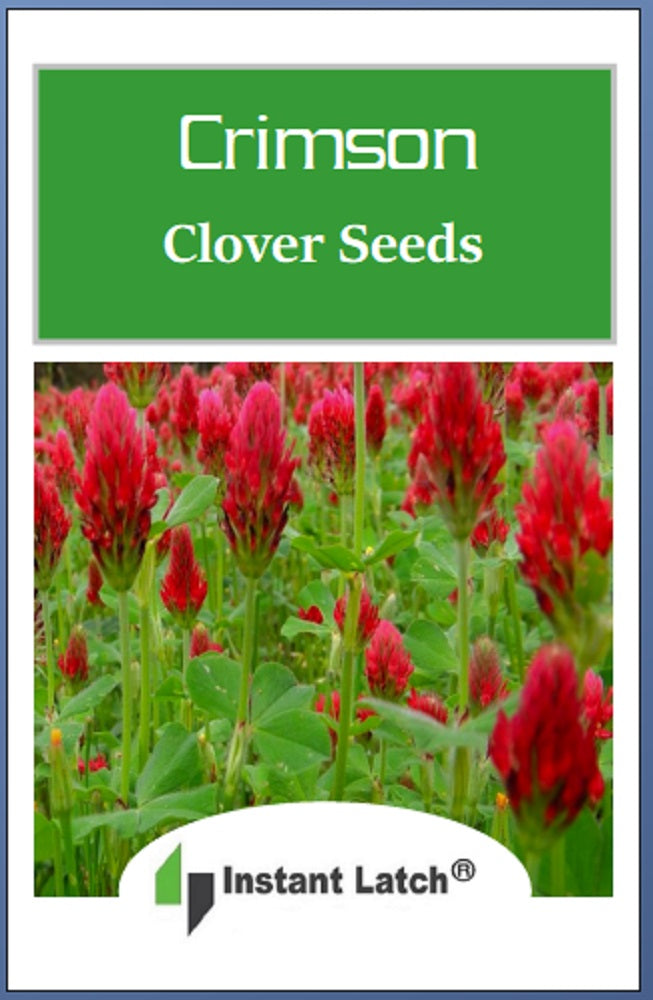 Crimson Clover Cover Crop Seeds | NON-GMO | Heirloom | Fresh Garden Se ...