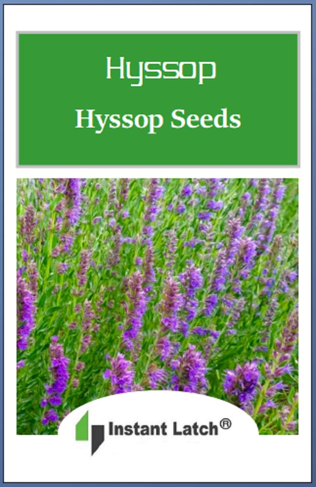 Hyssop Seeds | NON-GMO | Heirloom | Fresh Flower Seeds – Instant Latch