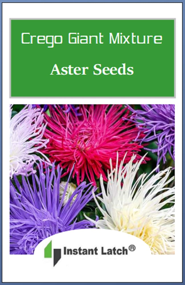 Crego Giant Mixture Aster Seeds | NON-GMO | Heirloom | Fresh Flower Se ...