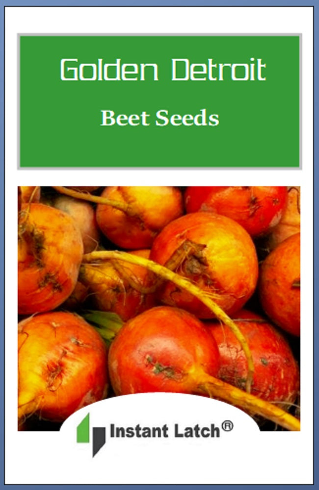 Golden Detroit Beet Seeds | NON-GMO | Heirloom | Fresh Garden Seeds ...