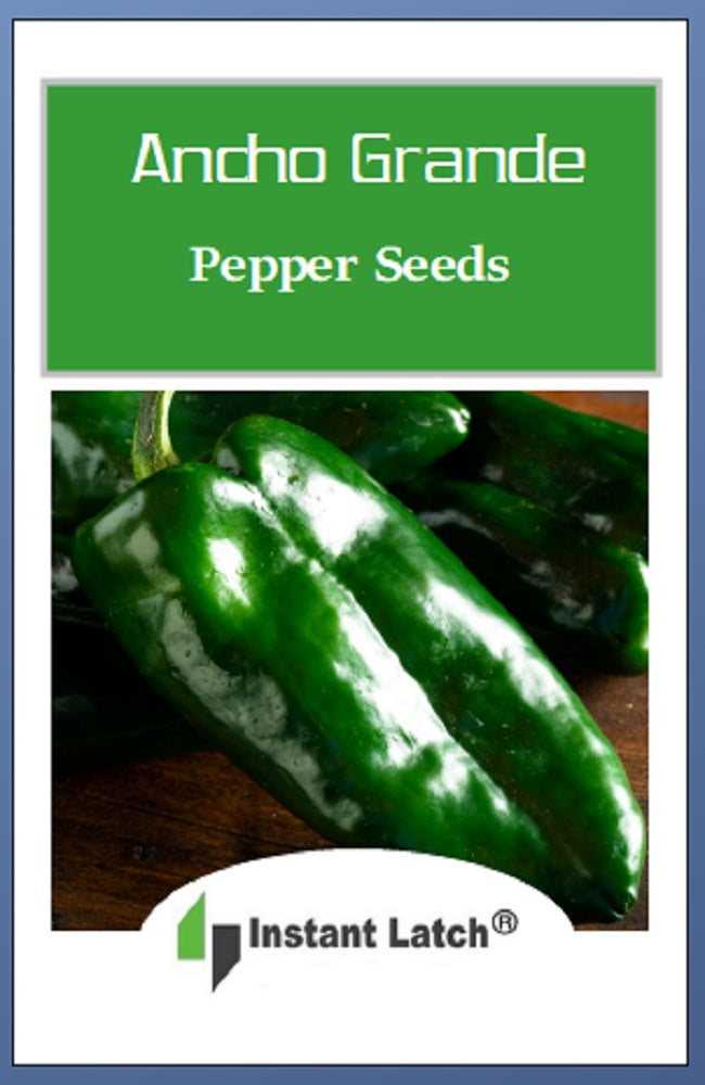 Ancho Poblano Grande Pepper Seeds | NON-GMO | Fresh Garden Seeds ...