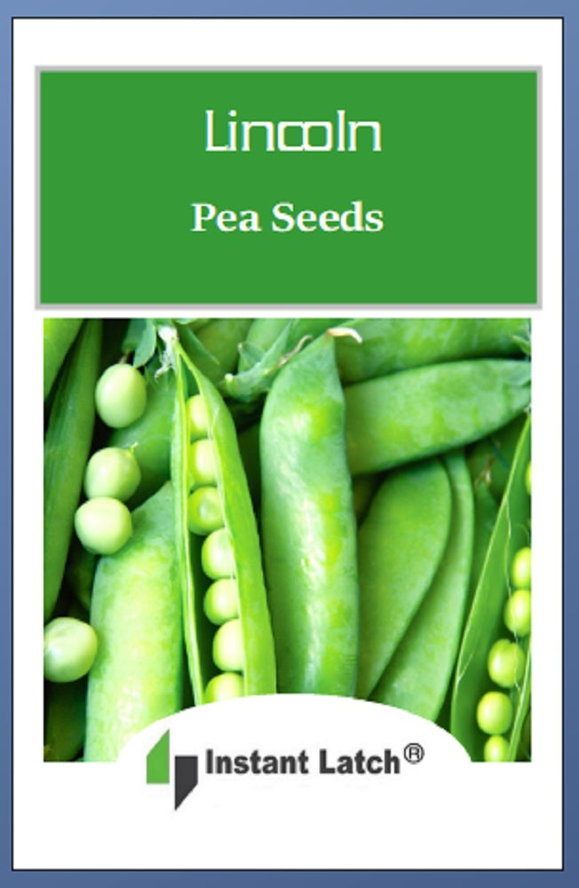 Lincoln Pea Seeds | NON-GMO | Fresh Garden Seeds – Instant Latch