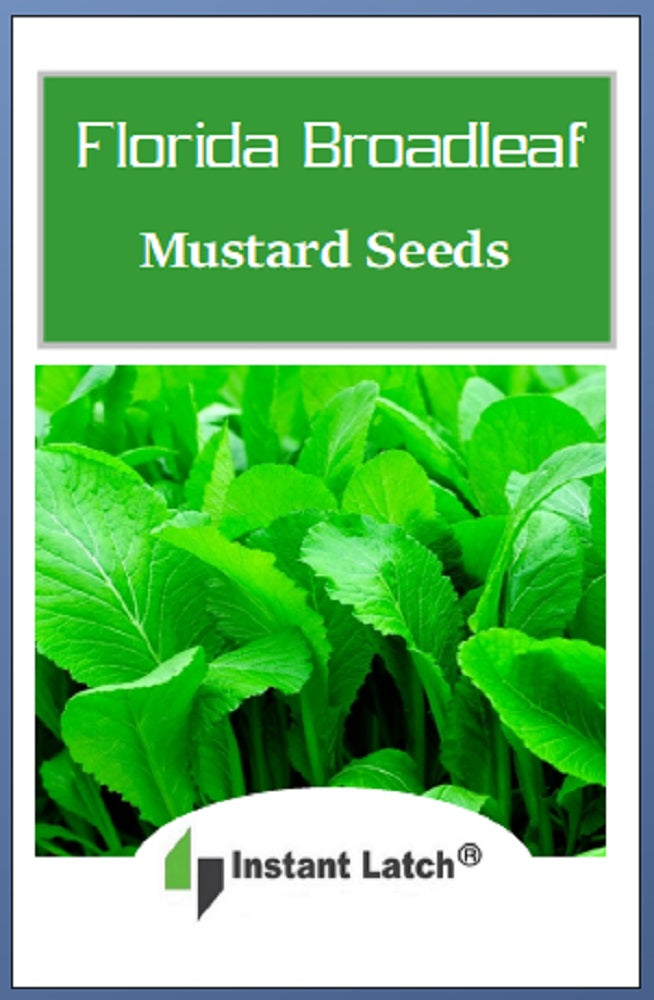 Florida Broadleaf Mustard Seeds | NON-GMO | Fresh Garden Seeds ...