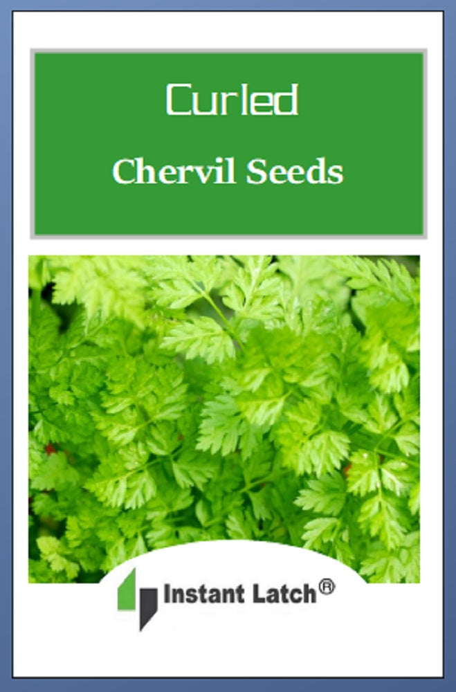 Curled Chervil Seeds | NON-GMO | Heirloom | Fresh Garden Seeds ...