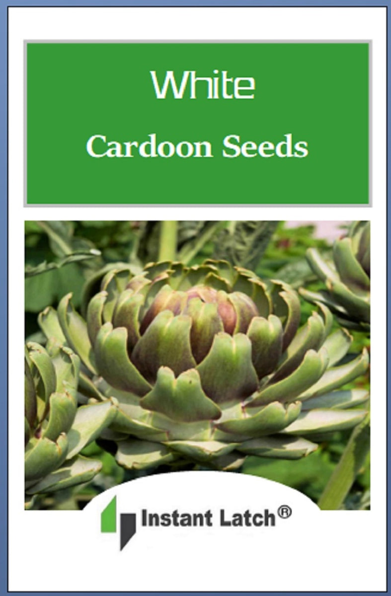 White Cardoon Seeds | NON-GMO | Heirloom | Fresh Garden Seeds – Instant ...